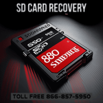 Have a Broken SD Card? SD Card Recovery & Solutions